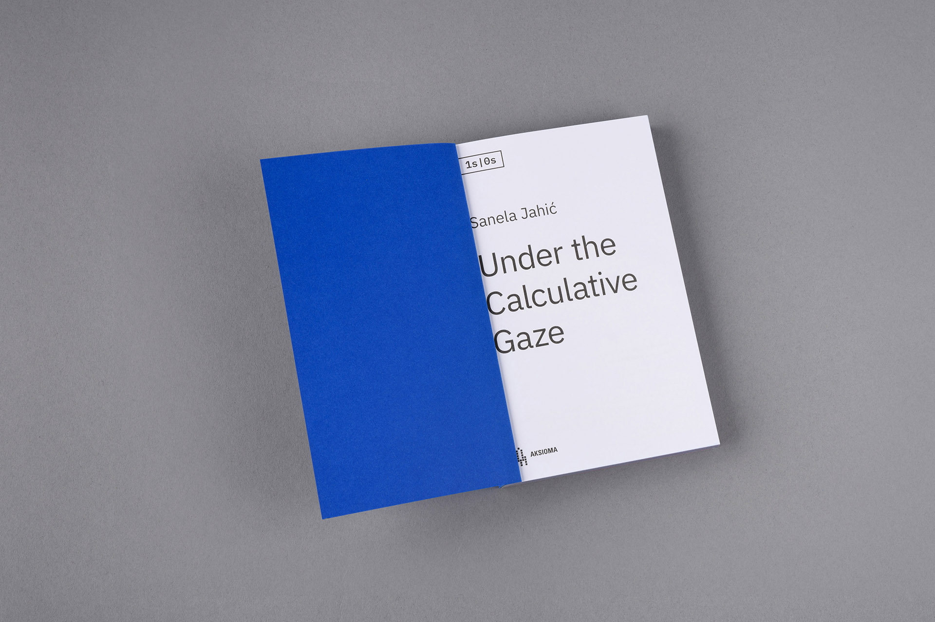 Sanela Jahić – Under the Calculative Gaze - Aksioma